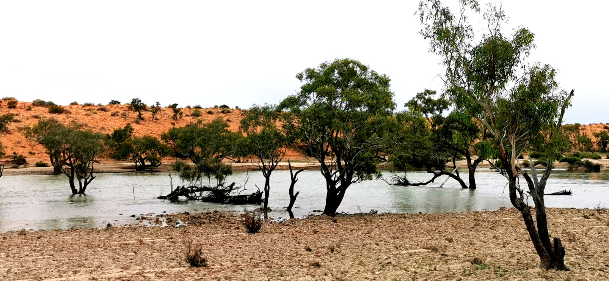 Birdsville, Don Rowlands and the Wangkangurru culture - Breaking the ...