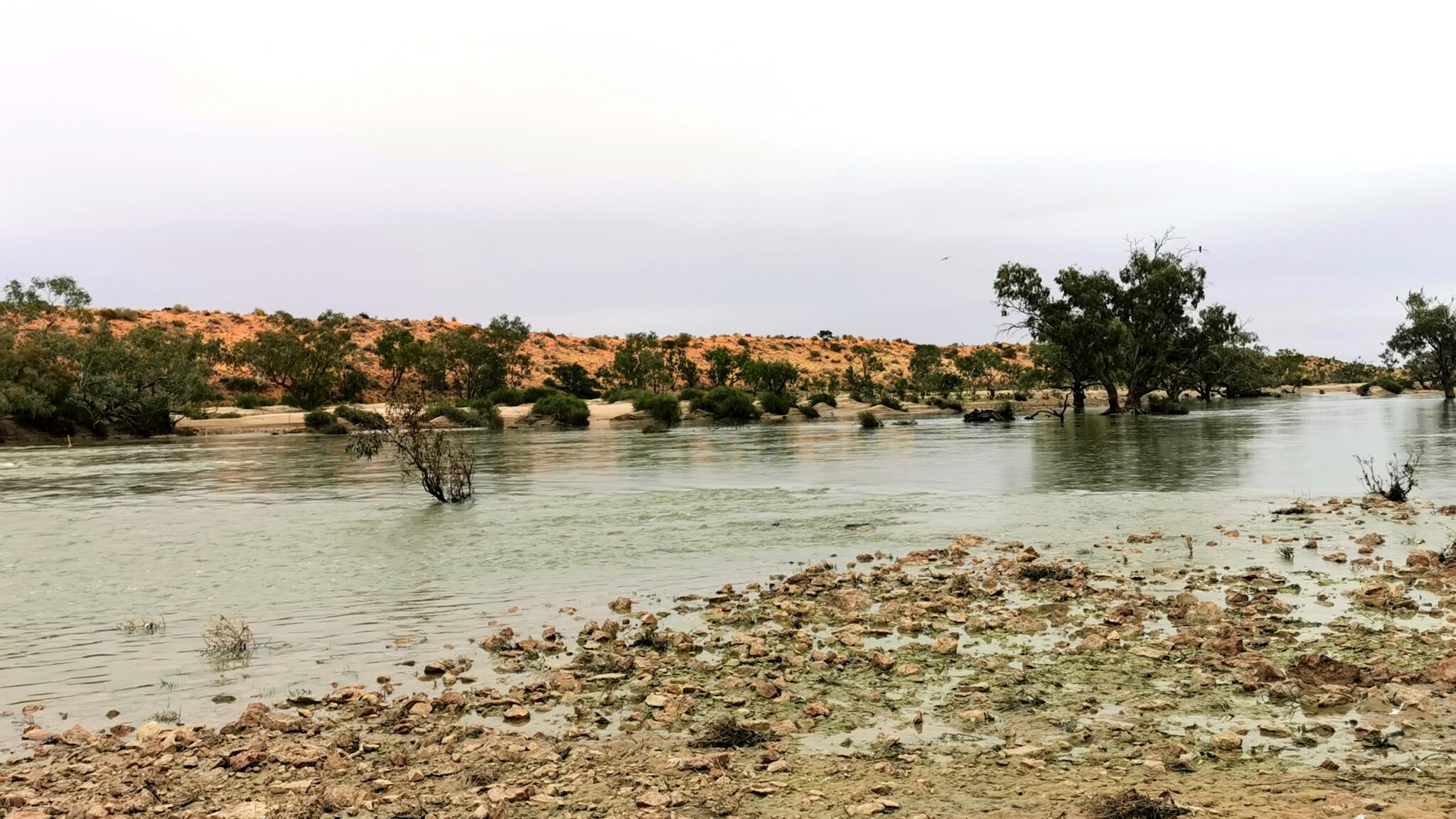 Birdsville, Don Rowlands and the Wangkangurru culture - Breaking the ...