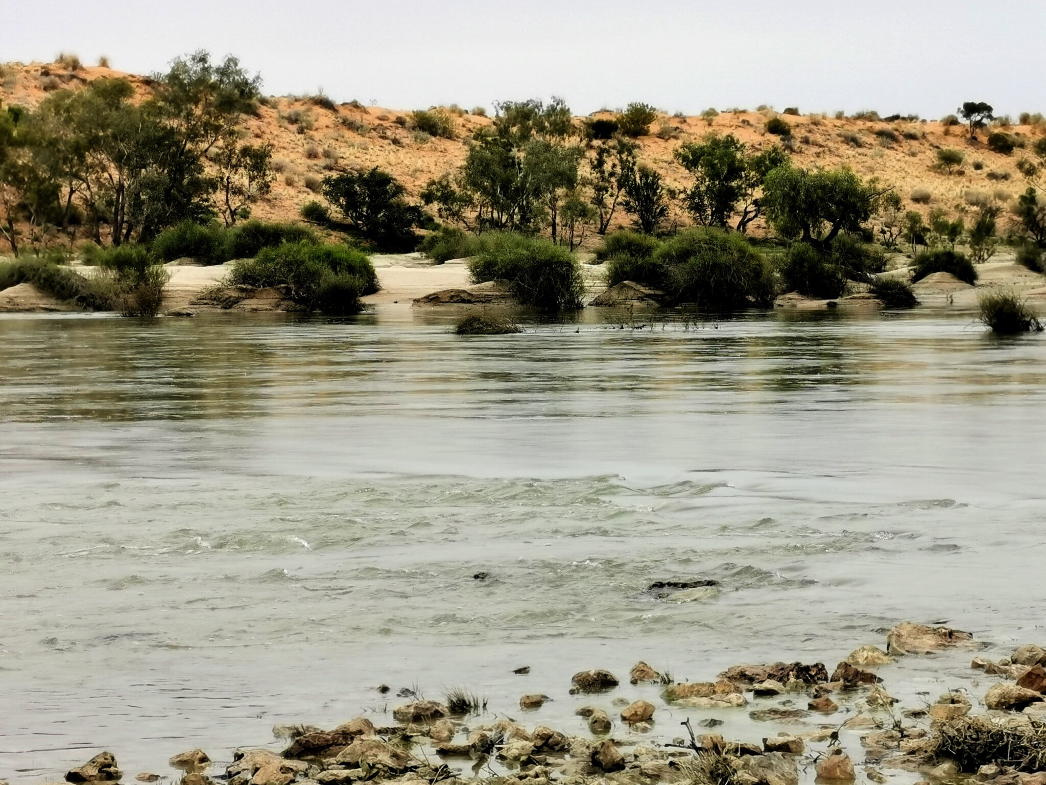 Birdsville, Don Rowlands and the Wangkangurru culture - Breaking the ...