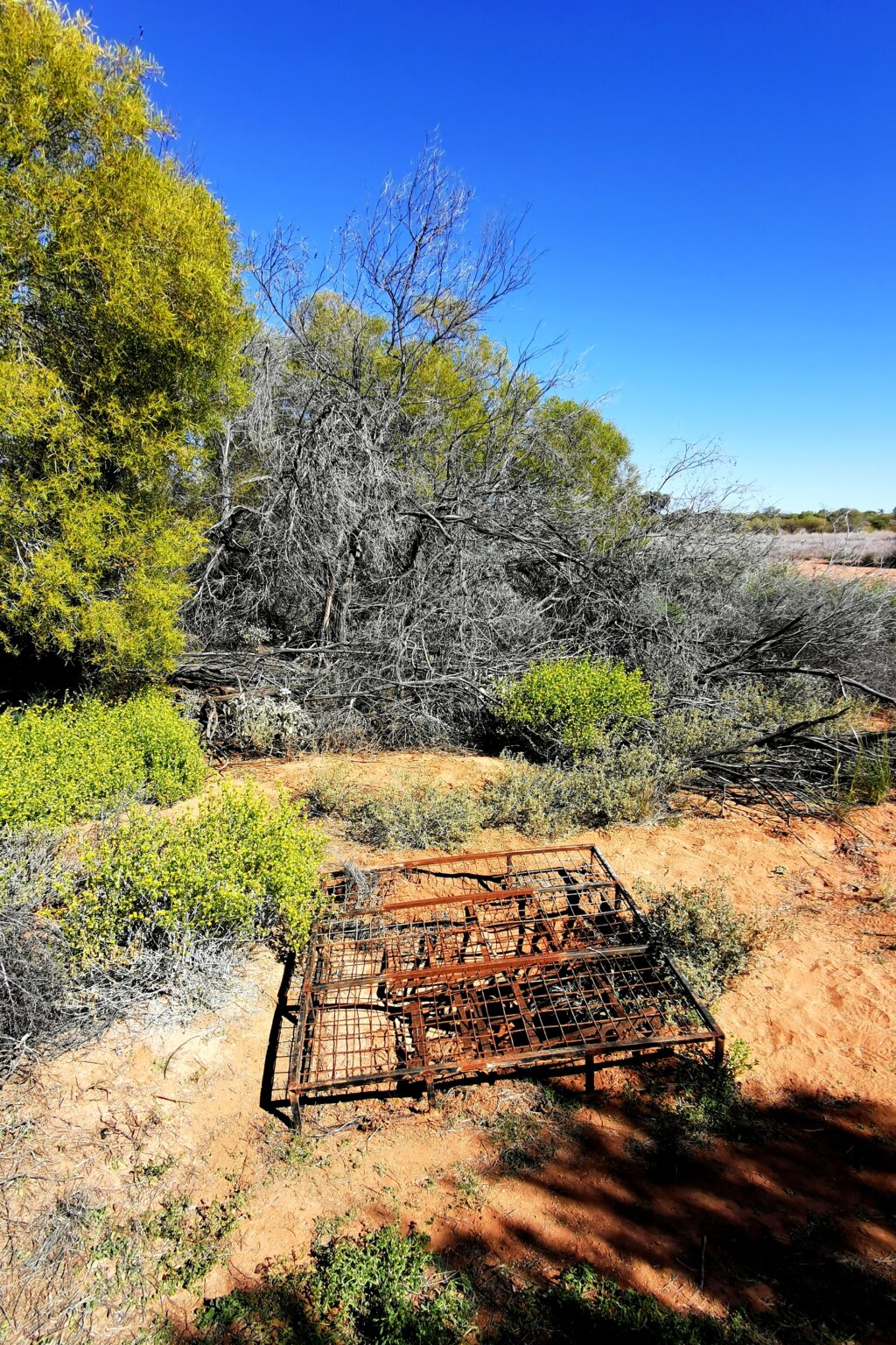 Anne Beadell Highway - Part I - Breaking the Cycle - Education