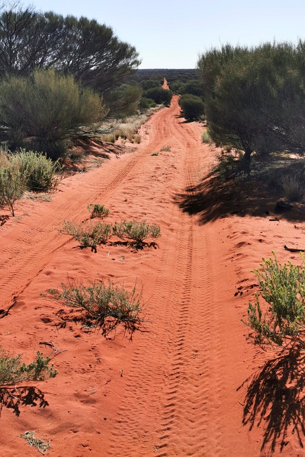 Anne Beadell Highway - Part I - Breaking the Cycle - Education