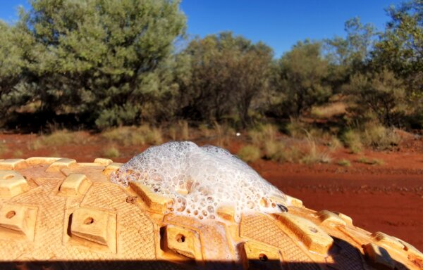 Jigalong and the Rabbit Proof Fence (Part II) - Breaking the Cycle ...