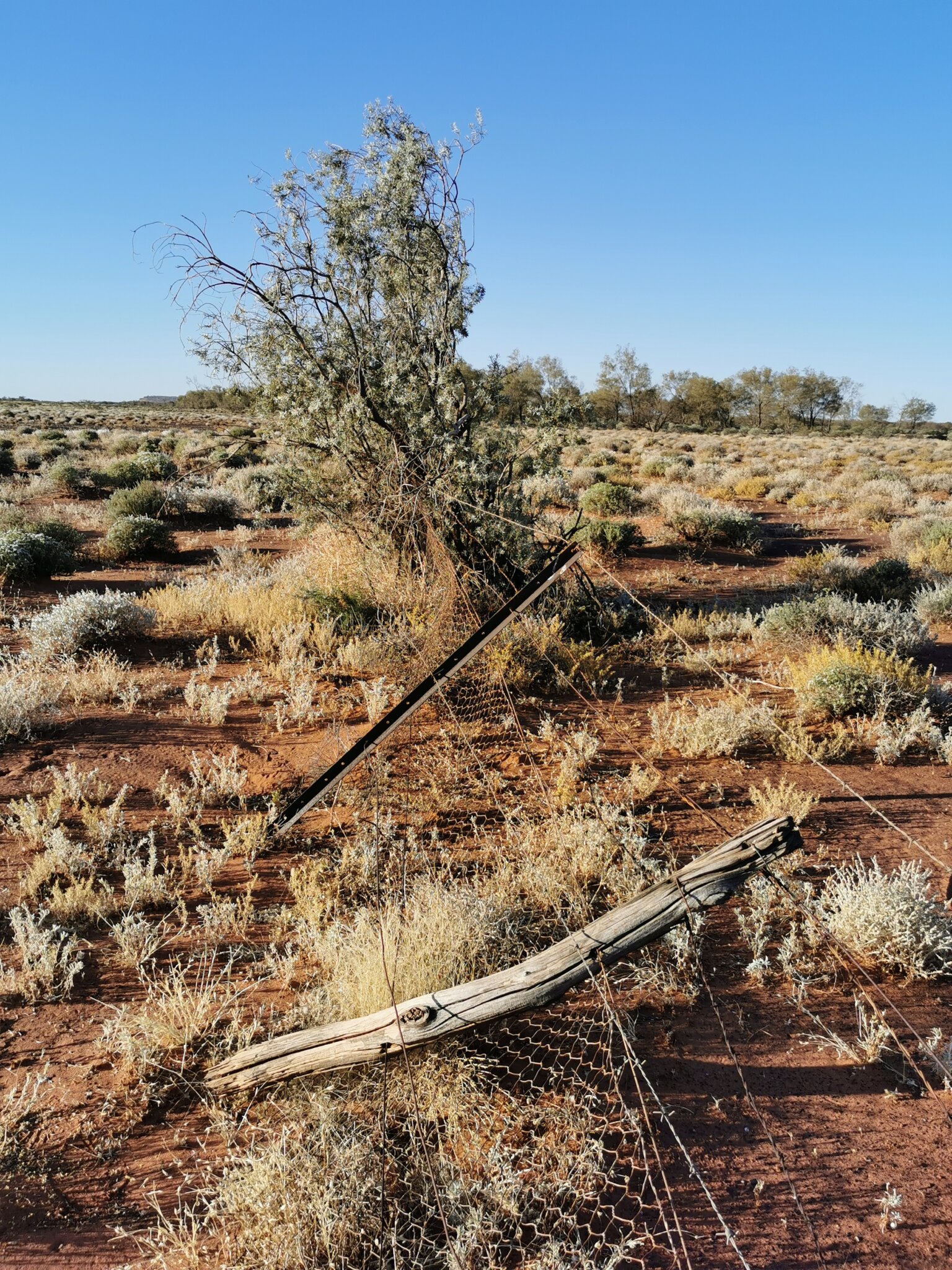 Jigalong and the Rabbit Proof Fence (Part II) - Breaking the Cycle ...