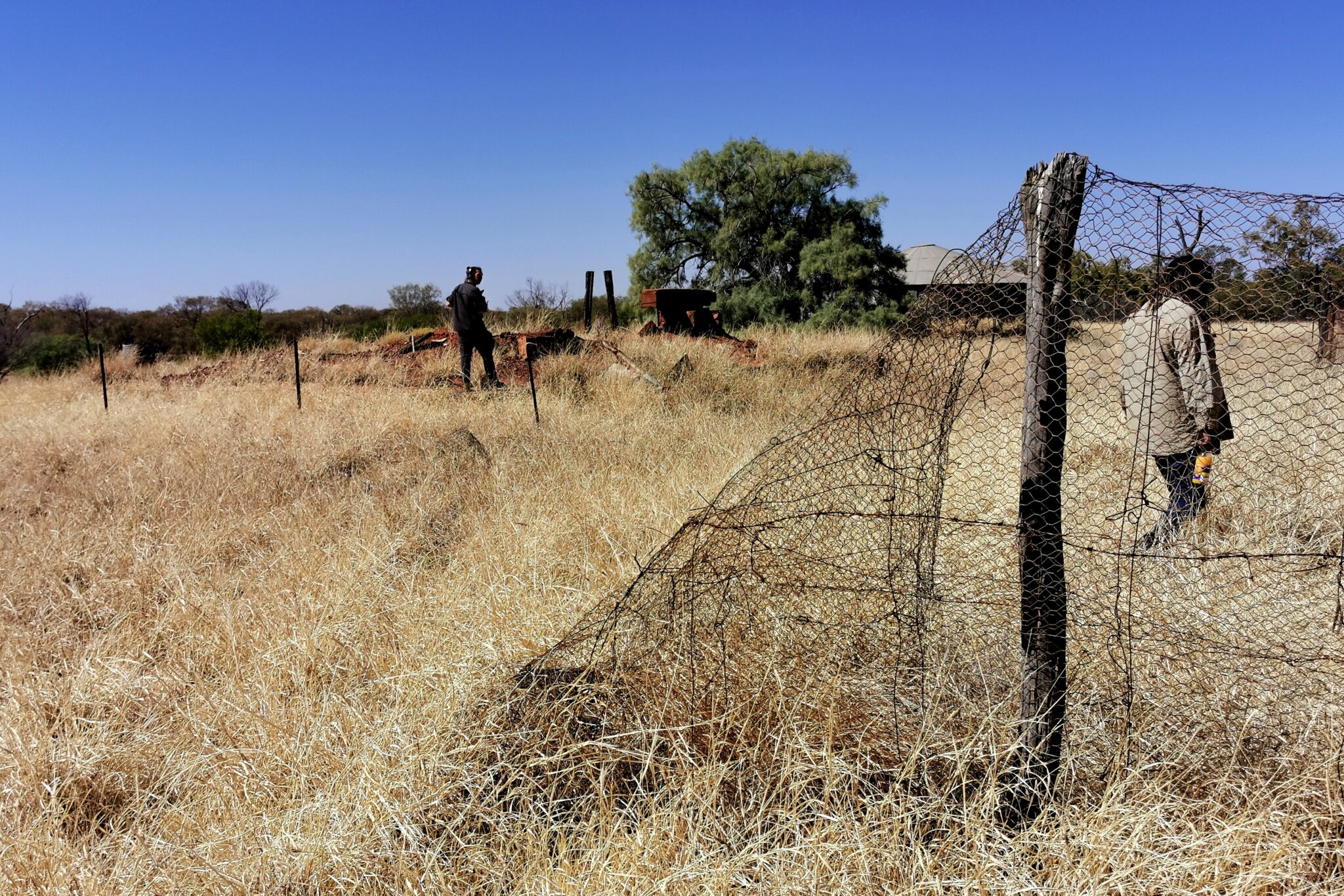 Jigalong and the Rabbit Proof Fence (Part II) - Breaking the Cycle ...
